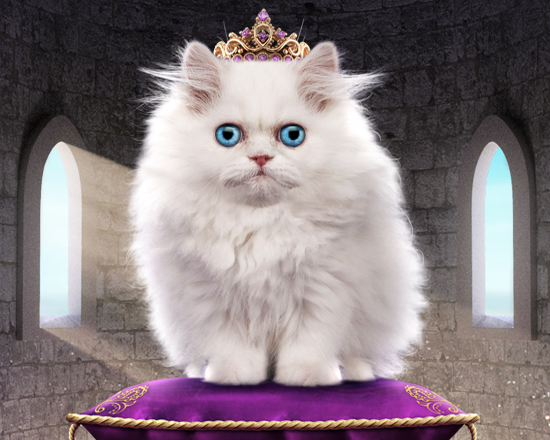 Talking Cat Princess (Personalize) | American Greetings