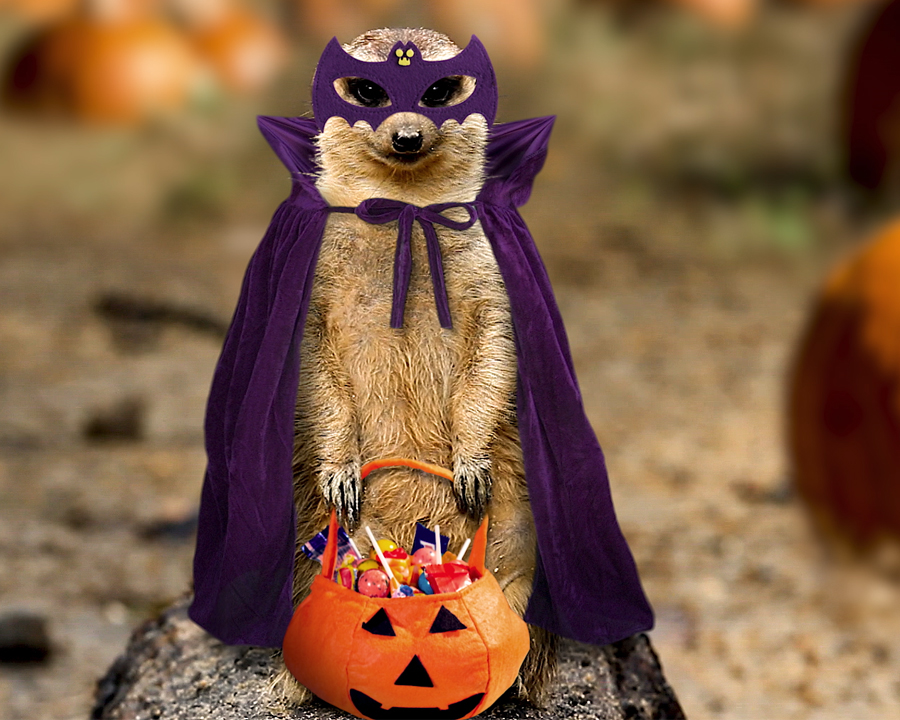 ""I Want Candy" Halloween (Personalize Lyrics)" | ecard | Blue Mountain