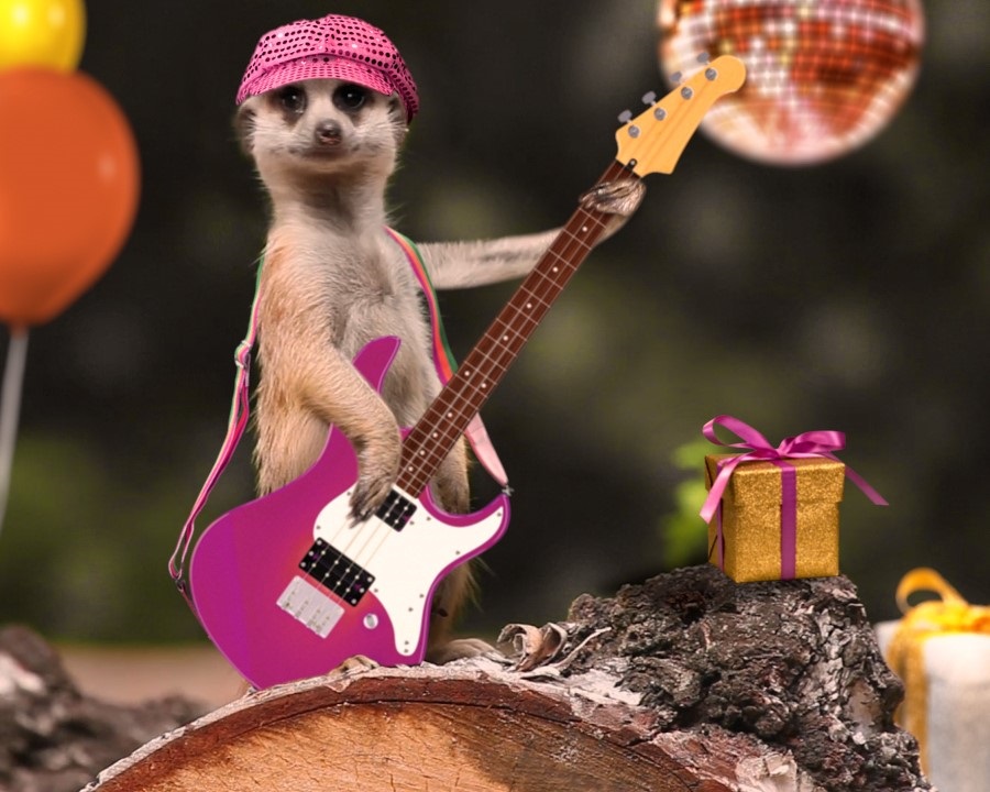 'Jungle Boogie' Birthday Smashup (Personalize) | American Greetings