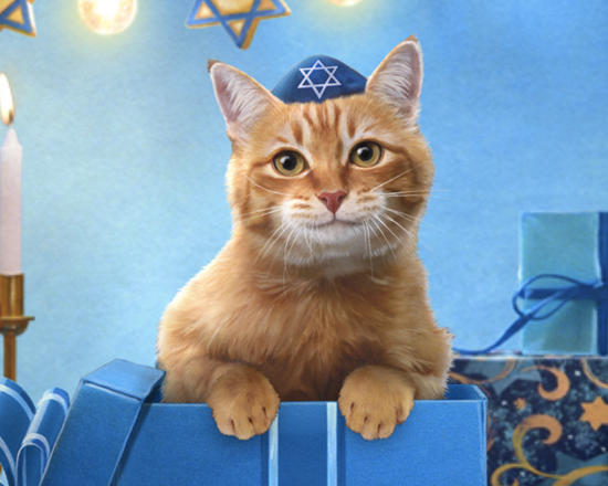 Talking Hanukkah Cat (Personalize) | American Greetings