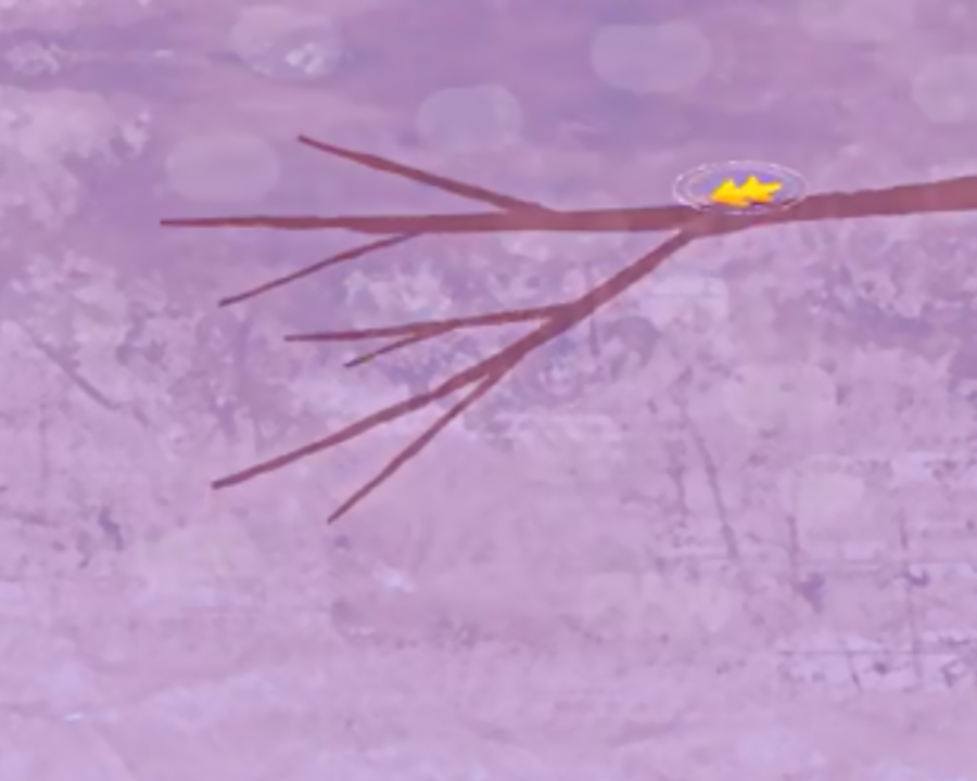 Fall Wishes for You Ecard | American Greetings