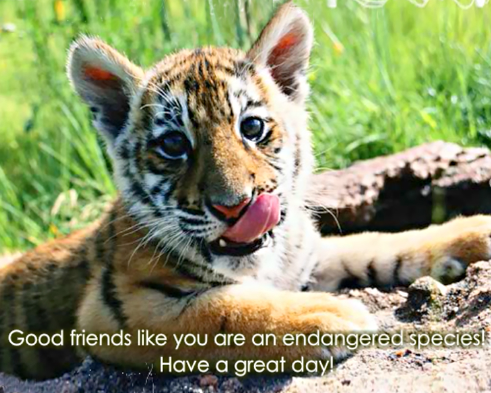 5/21 Endangered Species Day Ecard | American Greetings