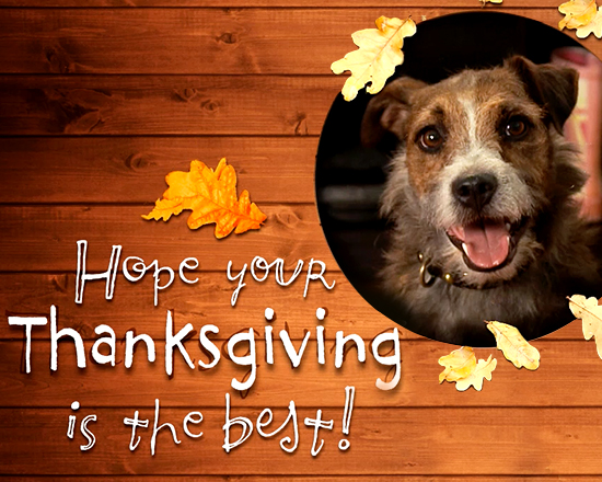 Best Thanksgiving Ever Ecard | American Greetings