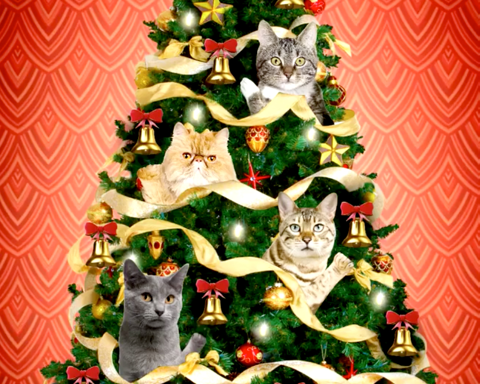 Christmas Cat-astrophe Ecard | American Greetings