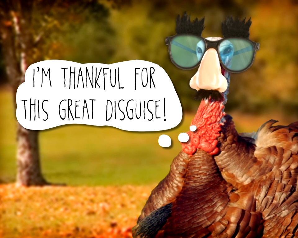 Thankful Thoughts Ecard | American Greetings