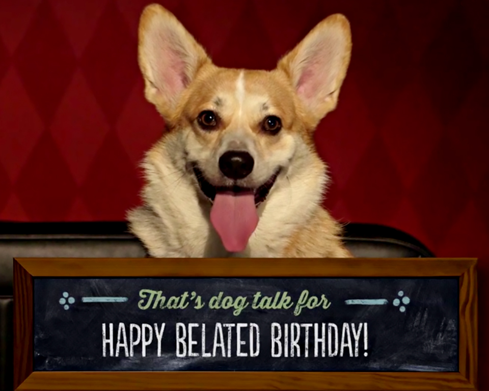 Dog-Gone Late Birthday Card Ecard | American Greetings