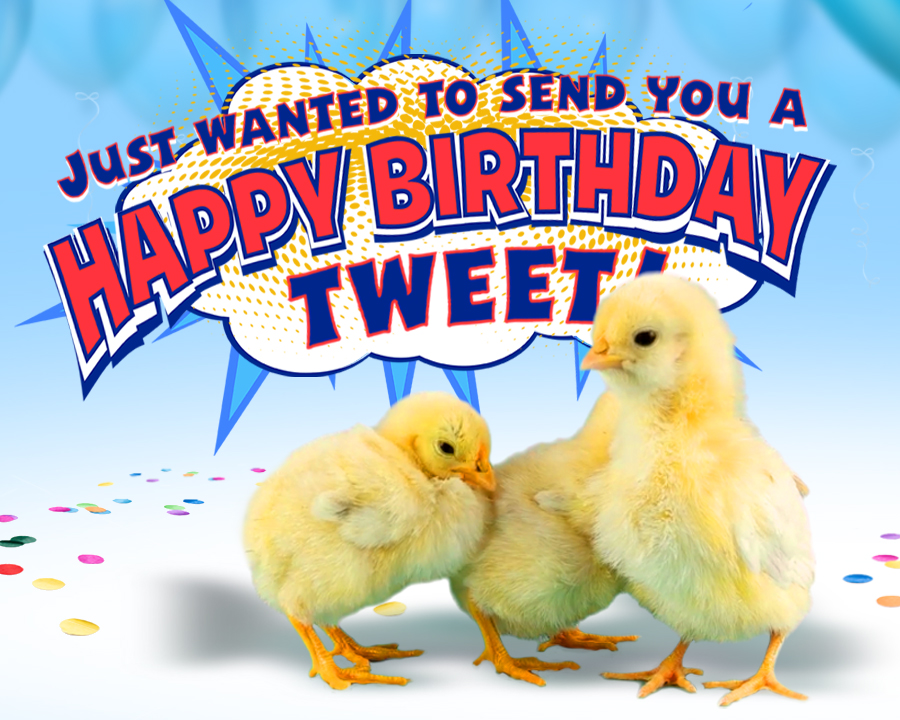A Happy Birthday Tweet Ecard | American Greetings