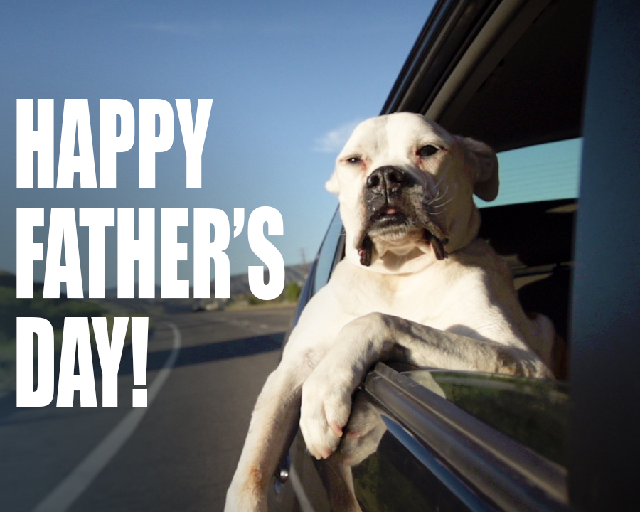 Rappin' Father's Day Ecard (Fun Song) | American Greetings