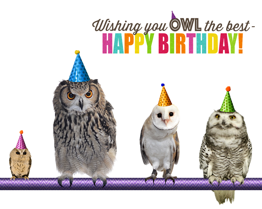 Owl Birthday Quotes Owl Birthday Card, Hope Your Birthday Is A Hoot,