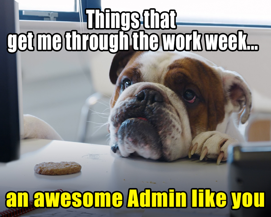 What Gets Me Through the Week Admin Day Ecard | American Greetings