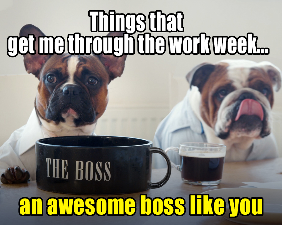 What Gets Me Through the Week Boss's Day Ecard | American Greetings