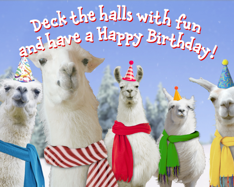 Happy Birthday Llamas With Hats