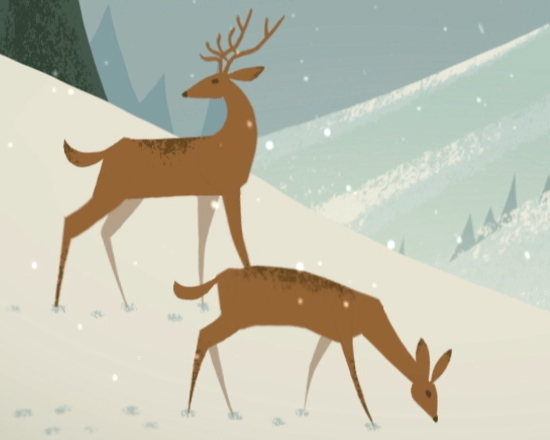 The Season's Splendor Ecard | American Greetings