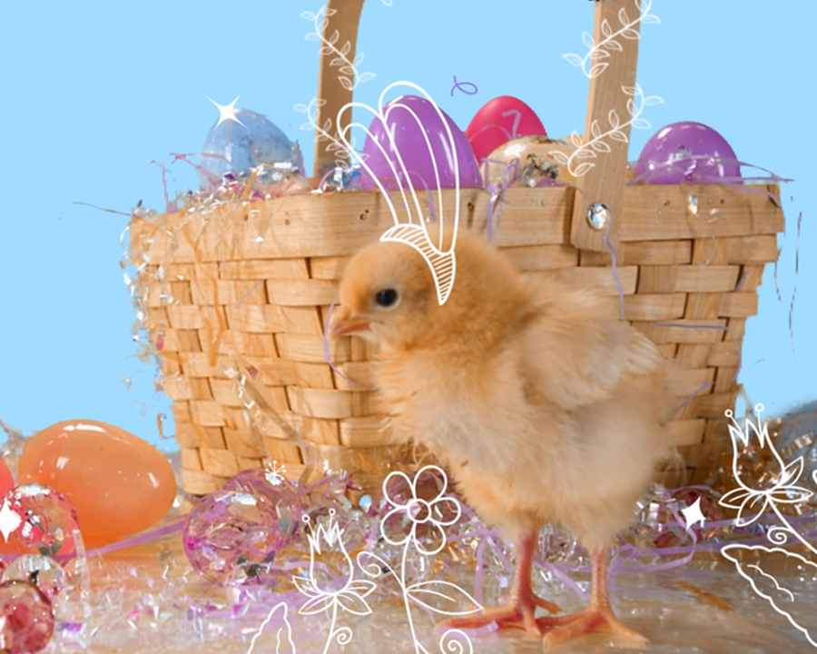 Basket of Wishes Easter | American Greetings