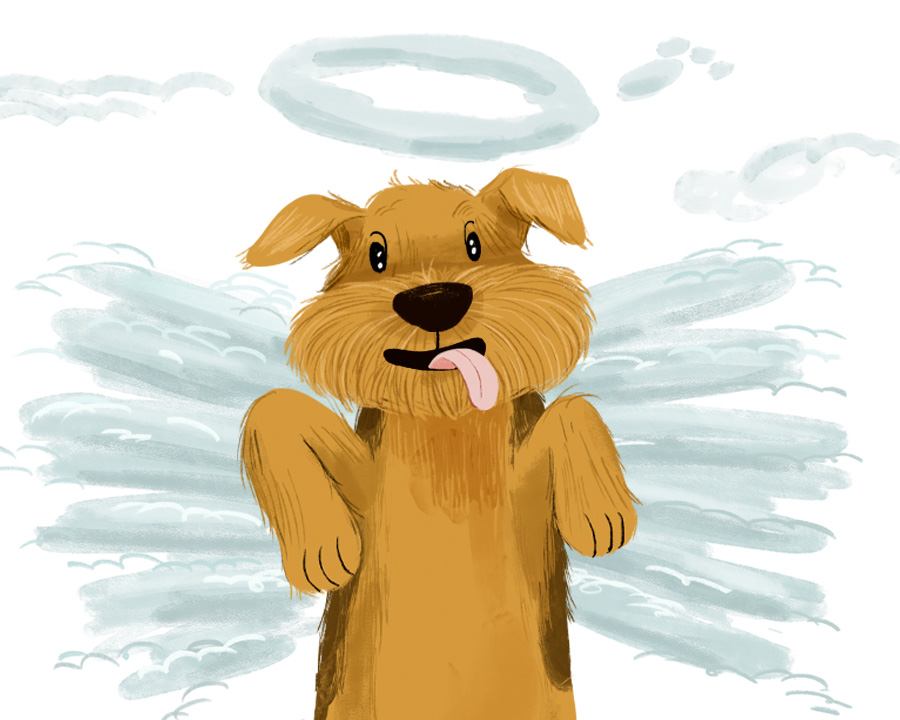 Howl-lay-loo-ya Holidays | American Greetings