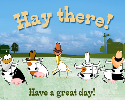 "Hay There! Reply Card" | Everyday Ecard | Blue Mountain