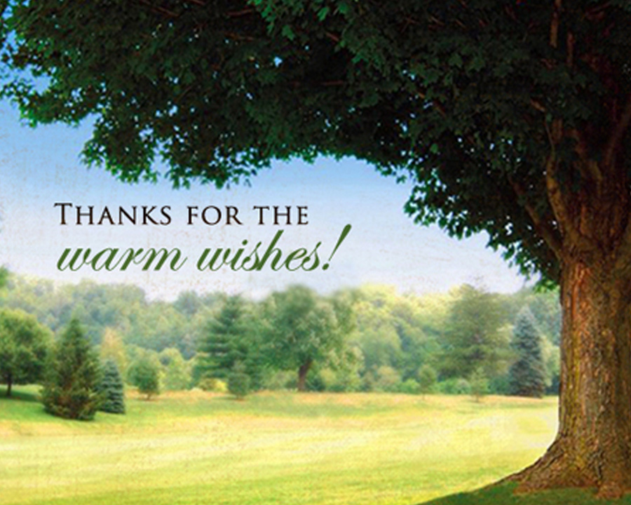 "Warm Wishes Reply Card" | Postcards | Blue Mountain