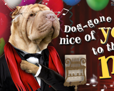 Dog-gone Nice Reply | American Greetings
