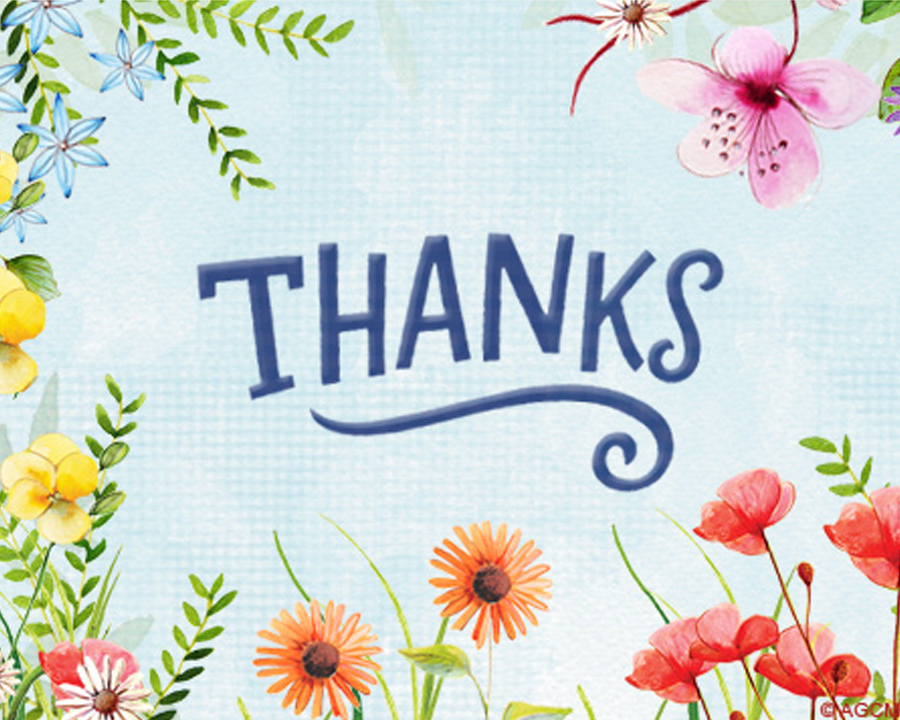 "Thanks Reply Card" | Postcards | Blue Mountain
