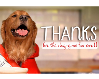 Dog-gone Fun Reply | American Greetings