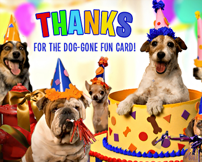 Dog-Gone Fun! Reply | American Greetings