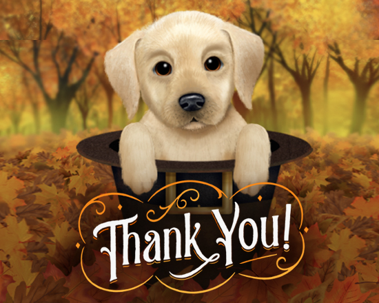 "Talking Dog Reply" | Reply Ecard | Blue Mountain