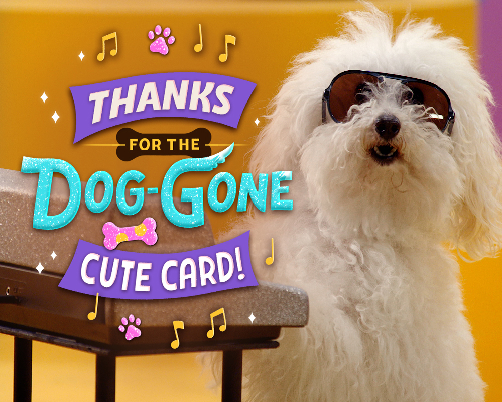 Dog-Gone Cute Reply | American Greetings