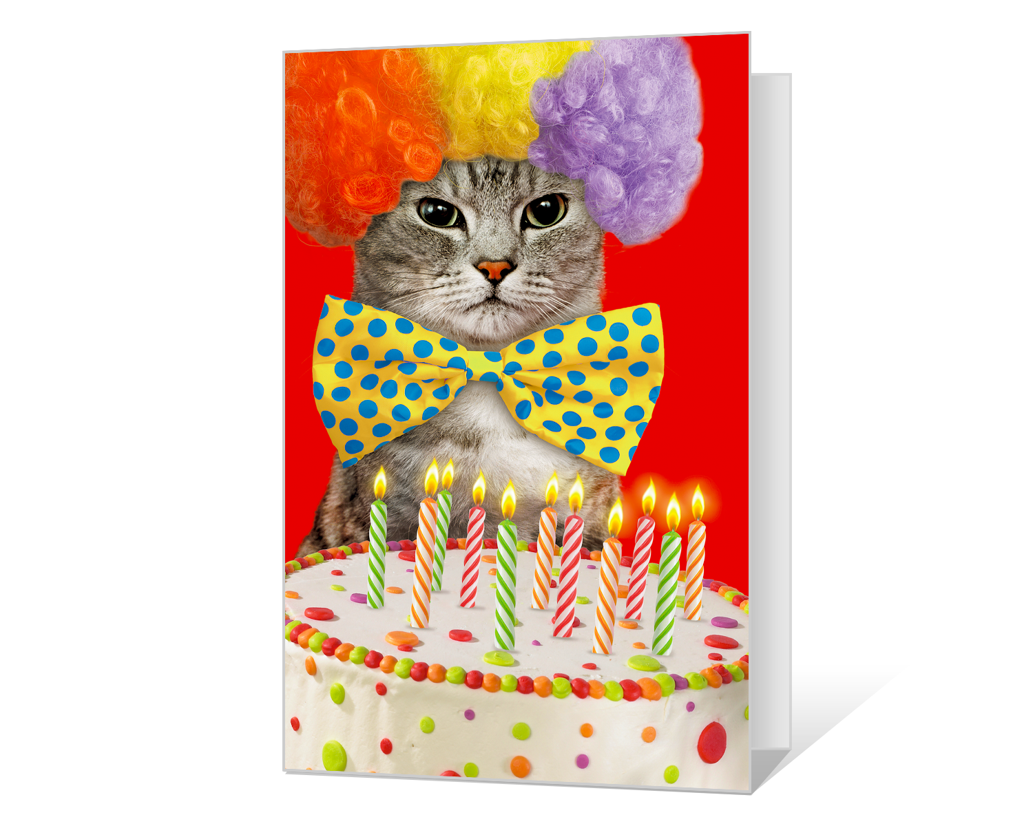 "Birthday Cat-ittude" | Creatacard™ | Blue Mountain