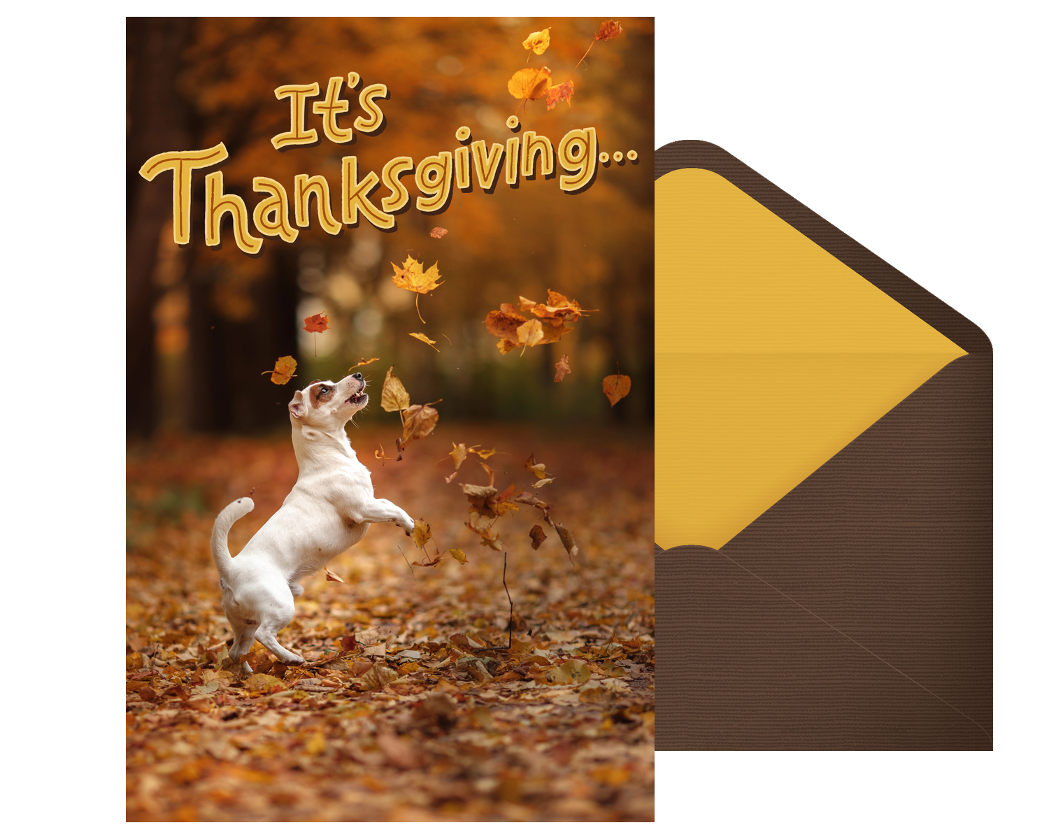 "Fall into Fun Thanksgiving" | Creatacard™ | Blue Mountain