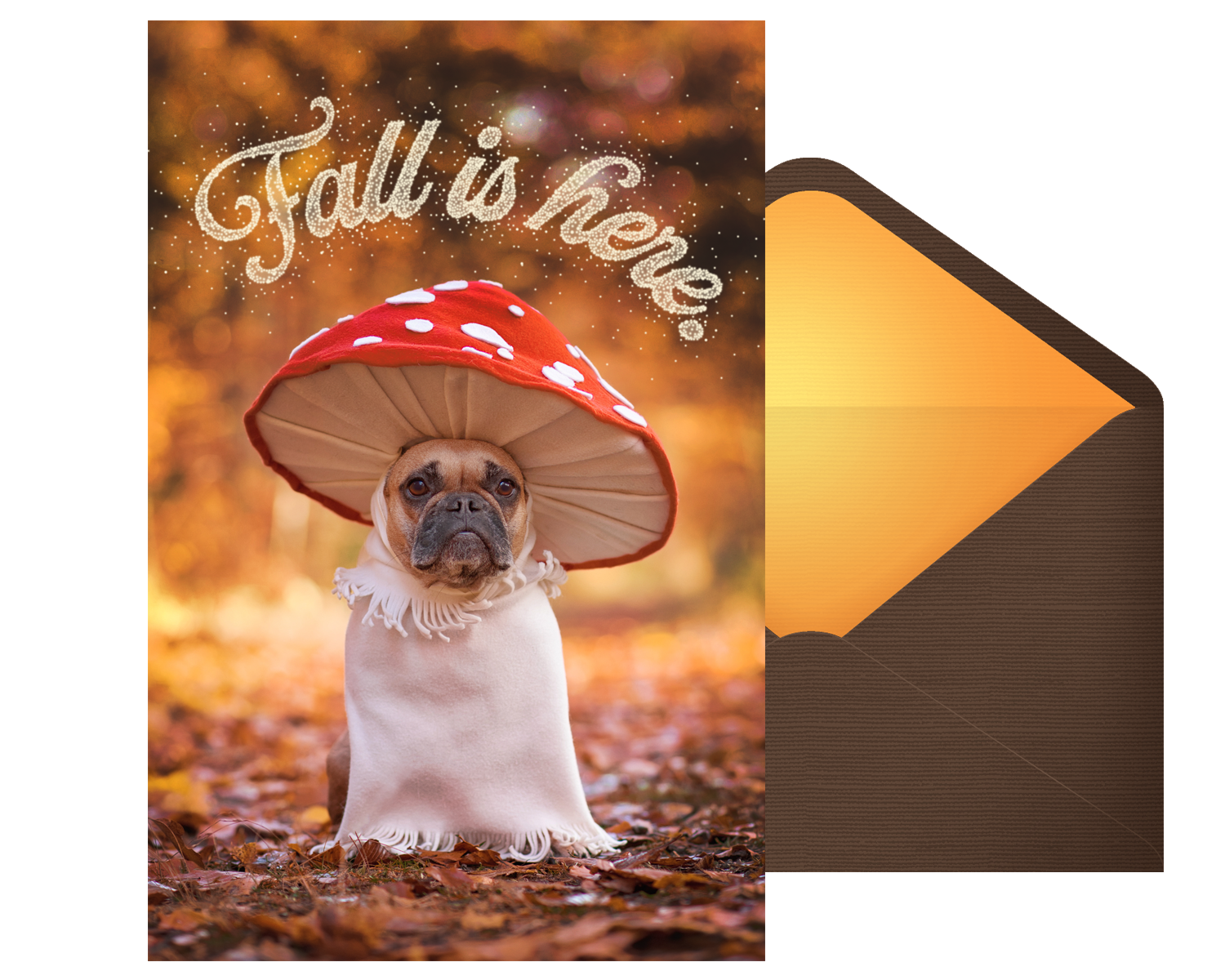 "Fall Magic" | creatacard | Blue Mountain